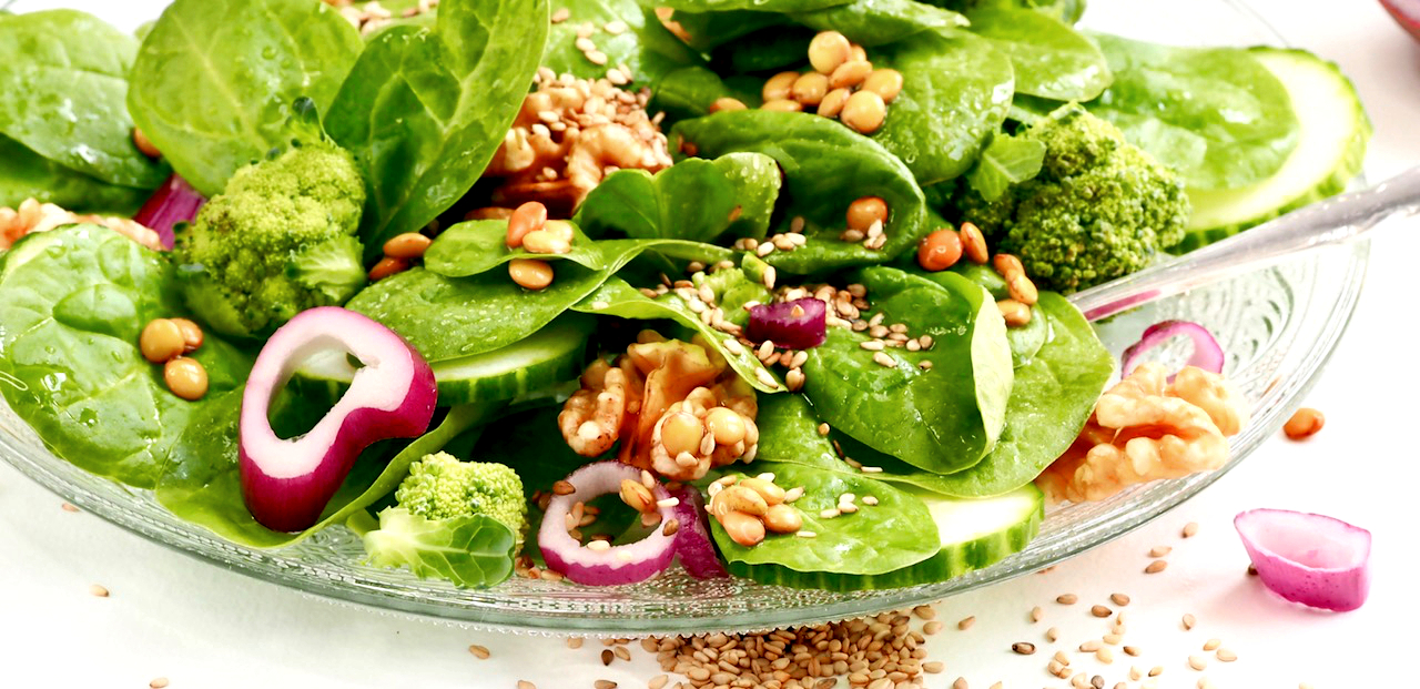 Grønne Proteiner med Bælgfrugtspirer · FRISKE SPIRER