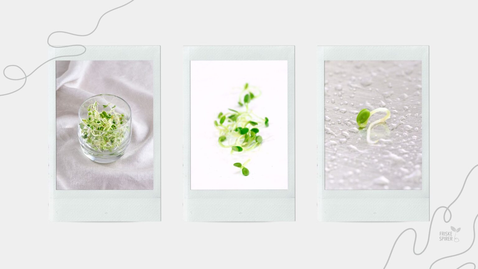 Baggrunde til PC, Mac, iPhone og iPad - Flotte, Pæne Wallpapers