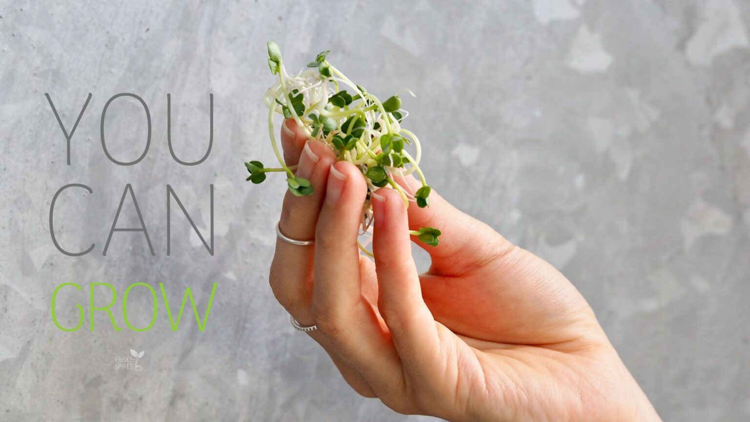 Baggrunde til PC, Mac, iPhone og iPad - Flotte, Pæne Wallpapers