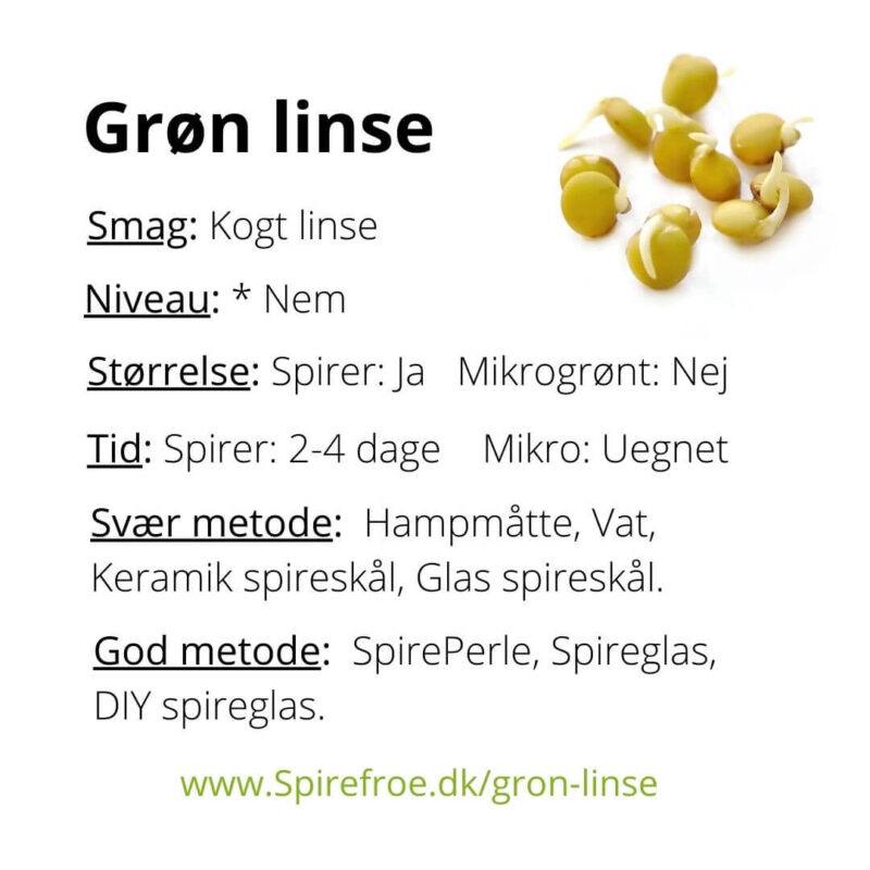 Køb Grøn linse økologiske spirefrø til dyrk selv spirer på 2 dage